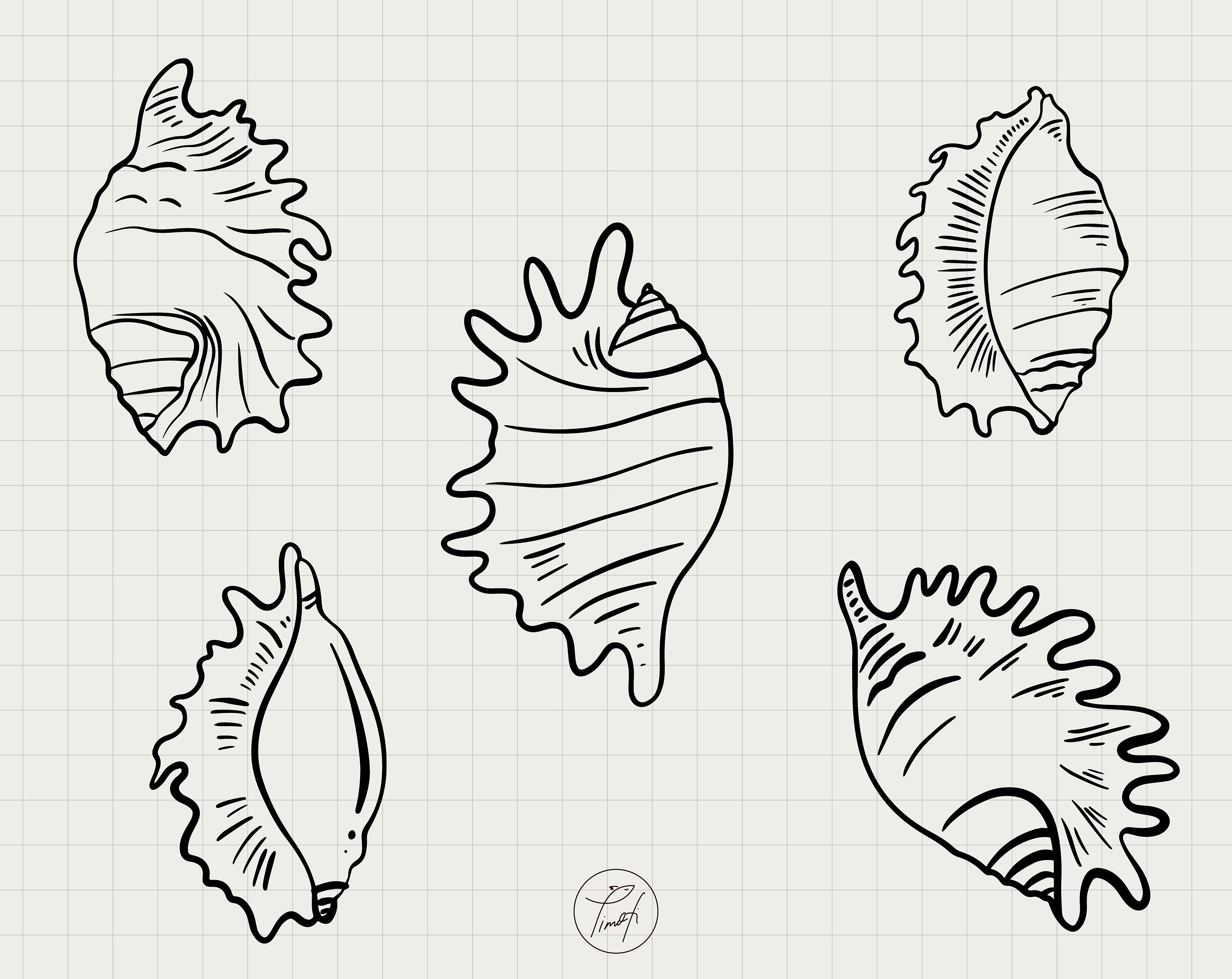 Seashell Svg, Ocean Svg, Sea Shell Svg One Line Drawing, Coral Svg ...