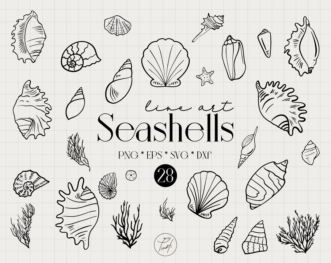 Seashell Svg, Ocean Svg, Sea Shell Svg One Line Drawing, Coral Svg ...