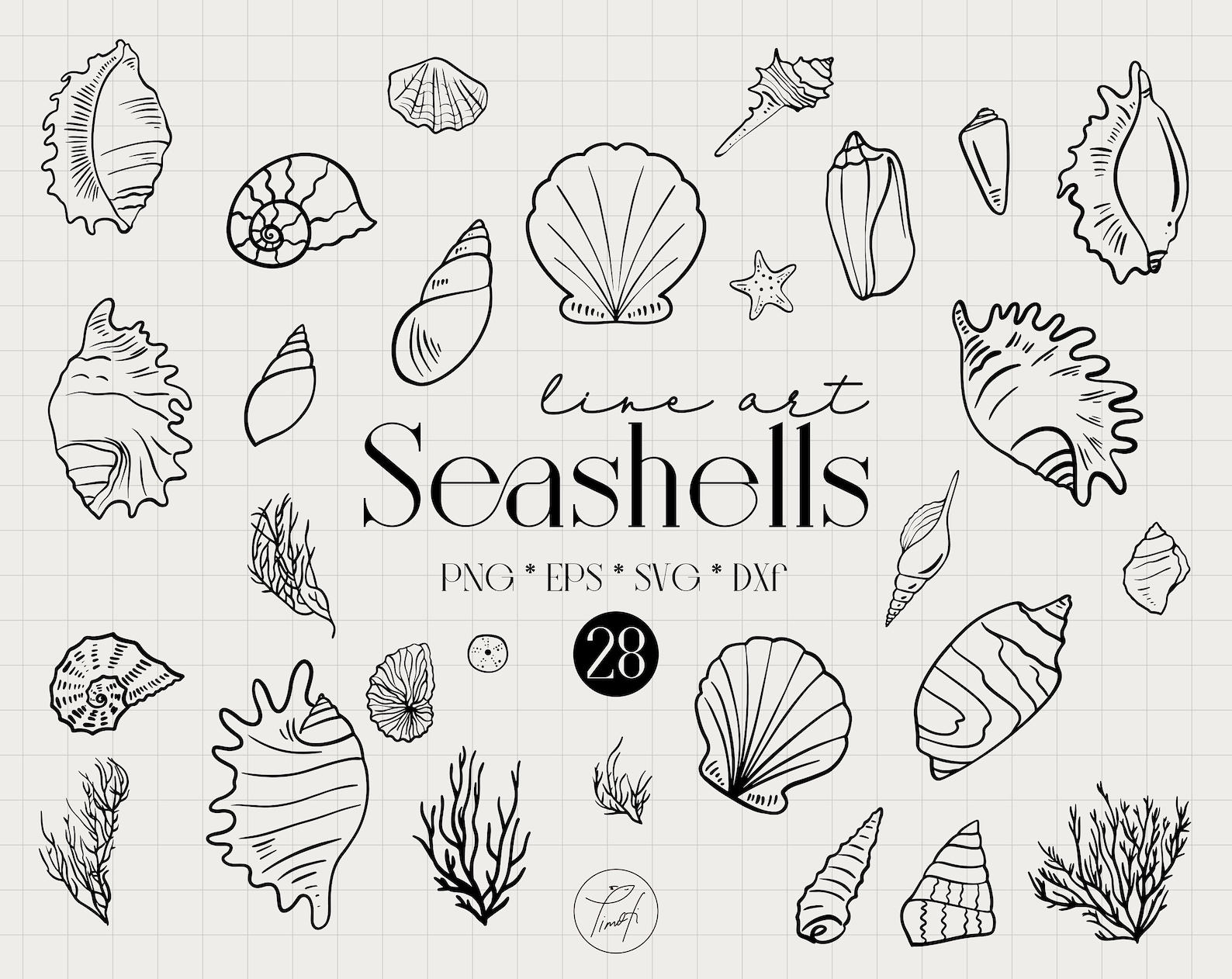 Seashell Svg, Ocean Svg, Sea Shell Svg One Line Drawing, Coral Svg ...