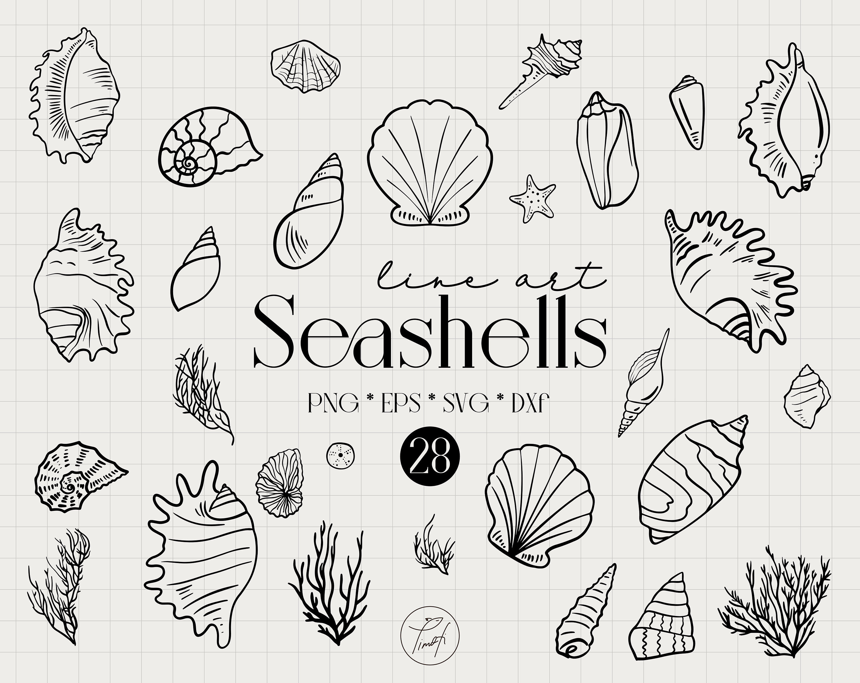 Seashell Svg, Ocean Svg, Sea Shell Svg One Line Drawing, Coral Svg ...