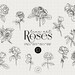 Roses Svg One Line Drawing, Rose Svg, Spring Flowers Svg, Commercial ...