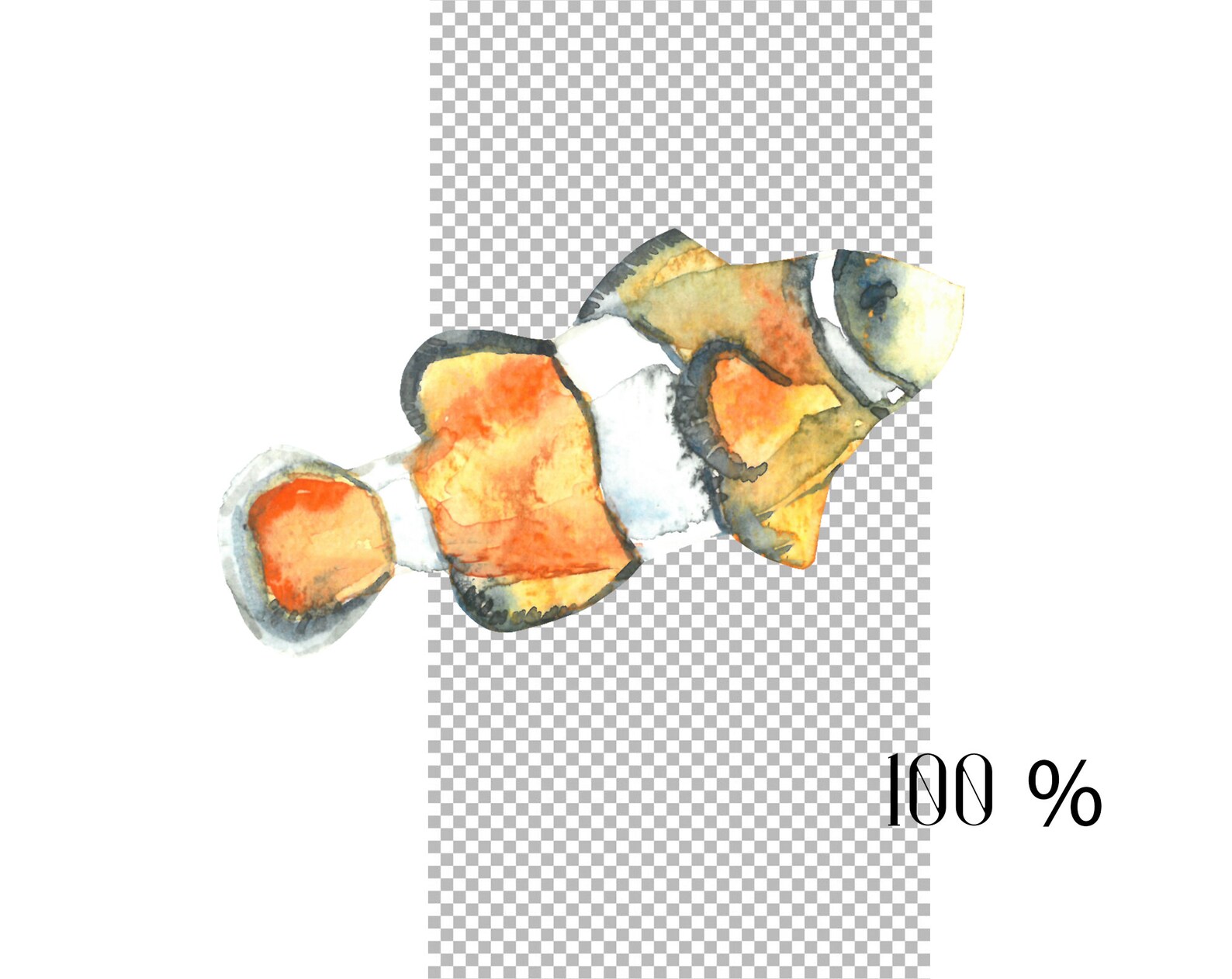 Tropical Fish Watercolor Clipart, Summer Clipart, Watercolor Clipart ...