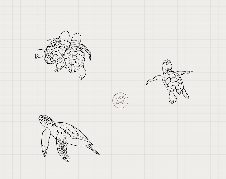 Sea Turtle Svg, Turtle Clipart, Continuous Line Art, Commercial License ...