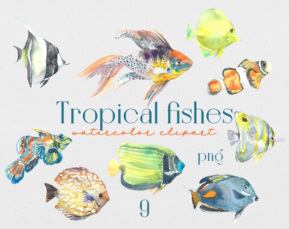 Tropical Fish Watercolor Clipart Summer Clipart Watercolor | Etsy