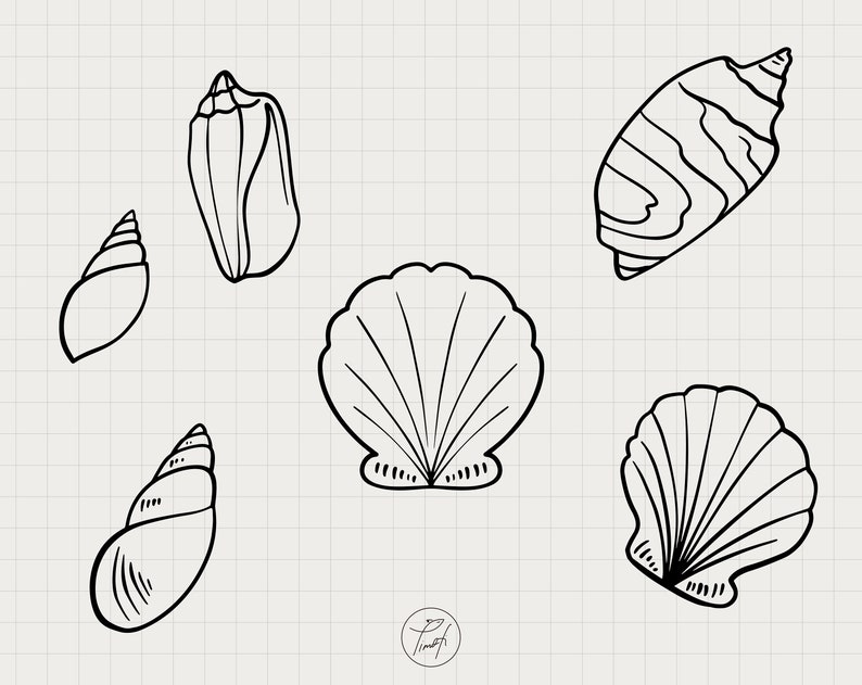 Seashell Svg, Ocean Svg, Sea Shell Svg One Line Drawing, Coral Svg ...