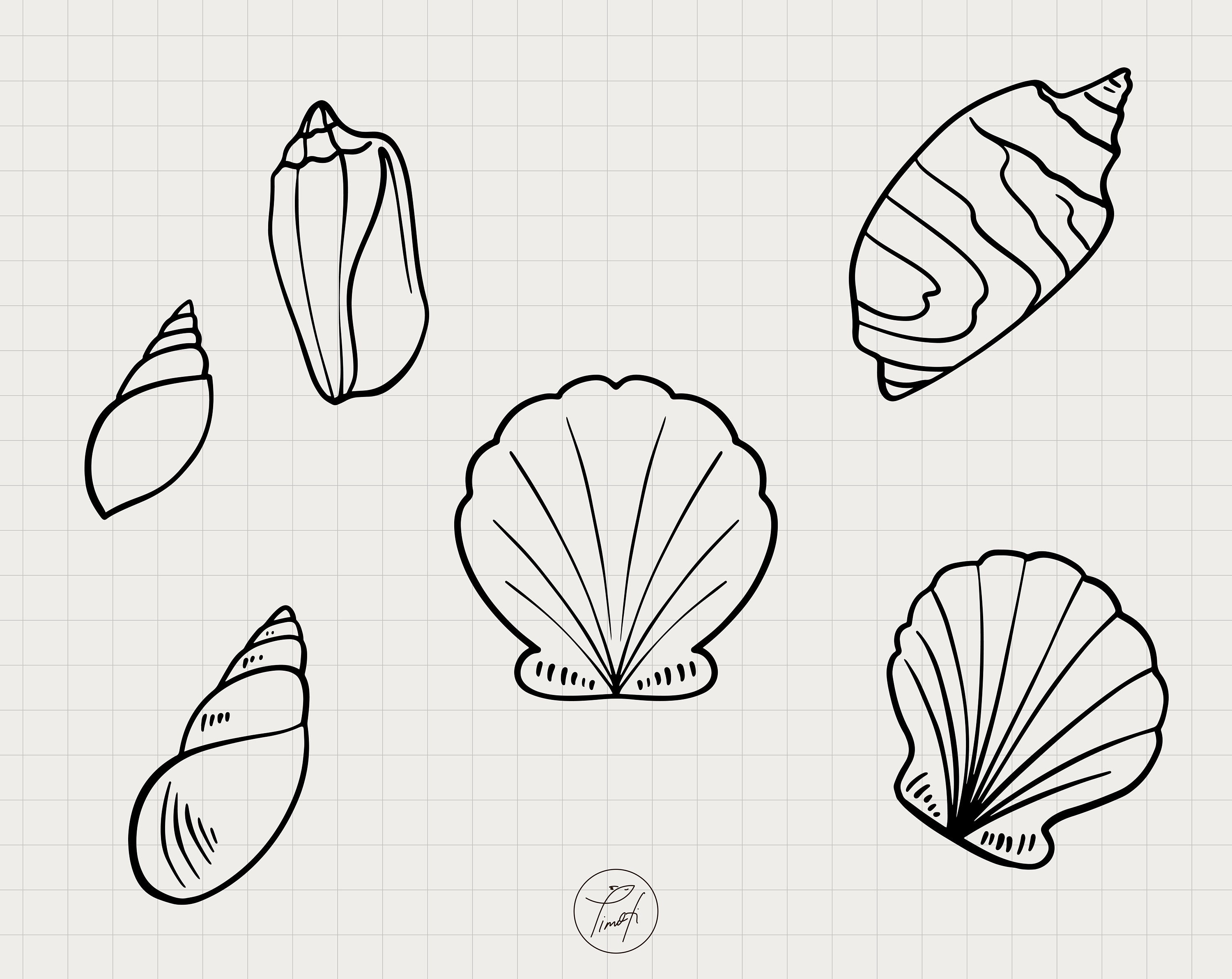 Seashell Svg, Ocean Svg, Sea Shell Svg One Line Drawing, Coral Svg ...