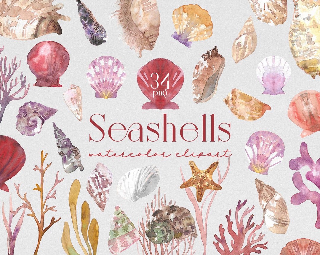 Summer Clipart, Watercolor Ocean Clipart, Sea Shells Watercolor Clipart ...