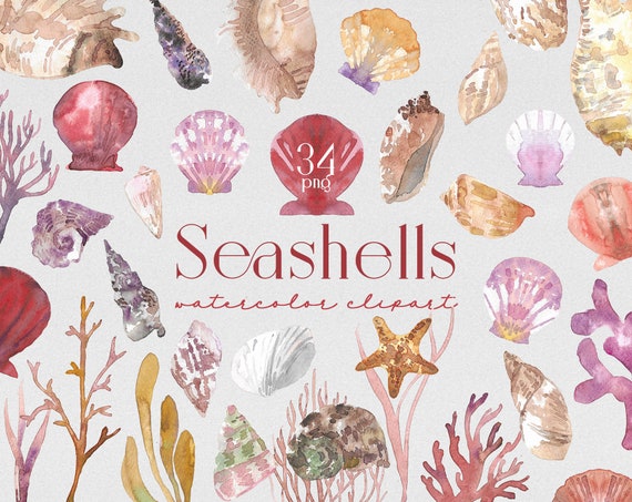 Summer clipart watercolor ocean clipart sea shells | Etsy