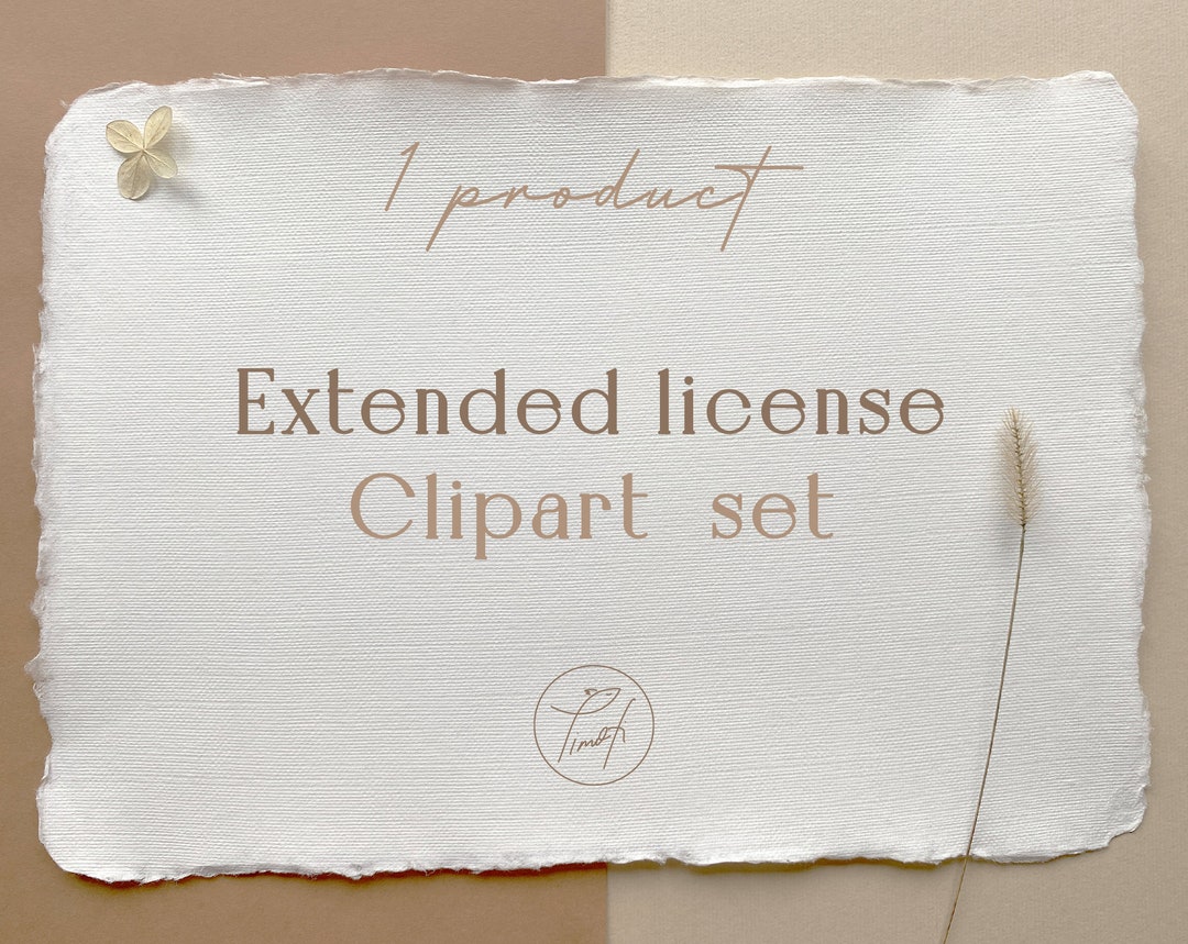 Extended License for 1 Clipart Set, Commercial License by Timofiart - Etsy