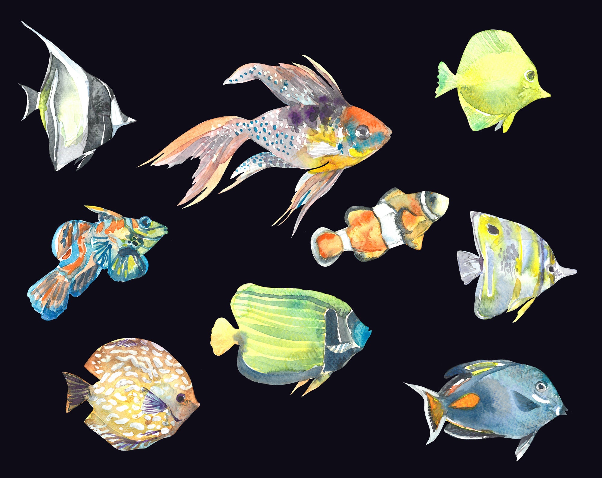 Tropical Fish Watercolor Clipart, Summer Clipart, Watercolor Clipart ...
