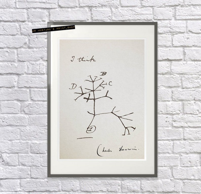 Charles Darwin: I Think Quote Darwin Poster | Etsy