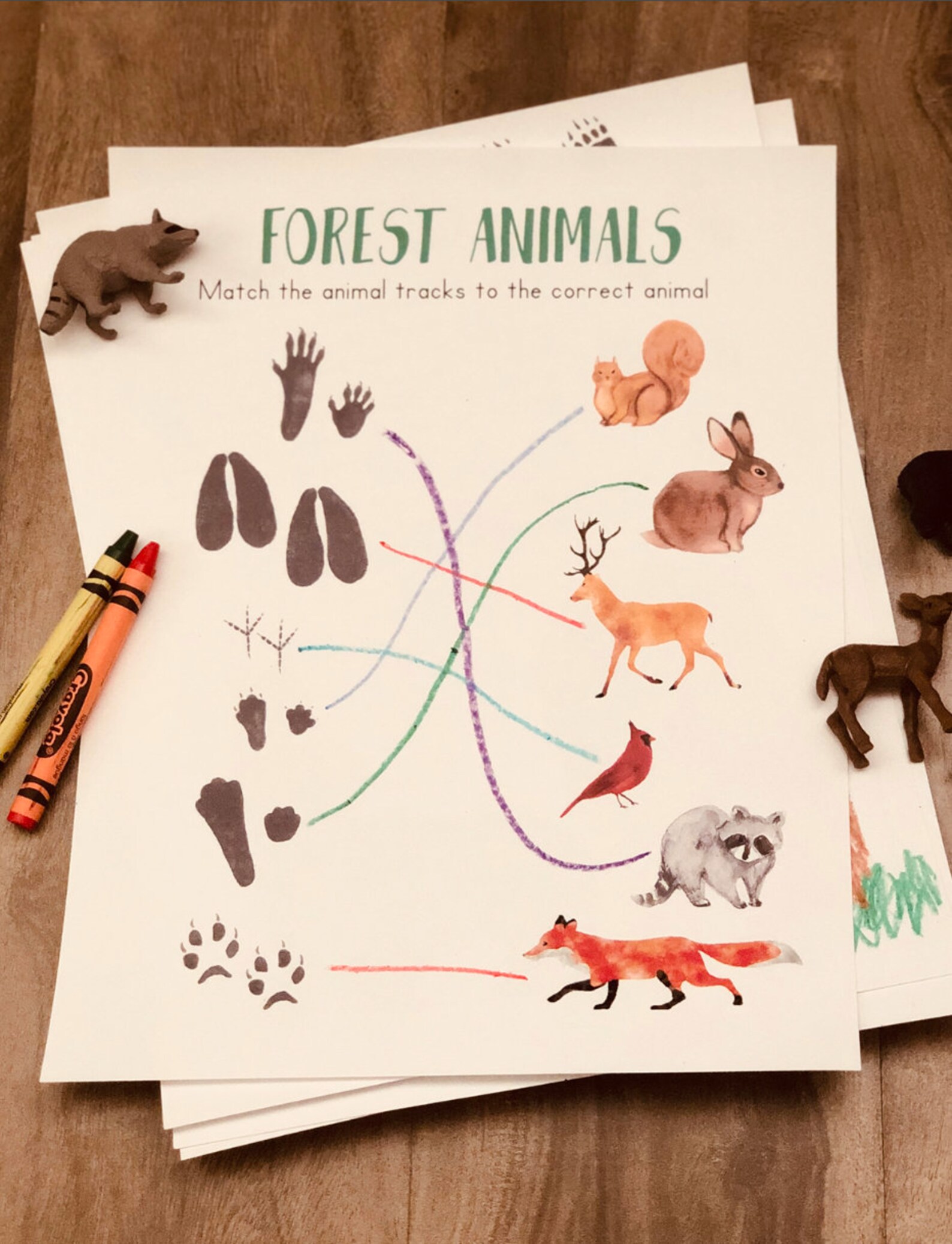 Woodland Forest Theme Unit Study Lesson Plans, Homeschool, Notebooking ...