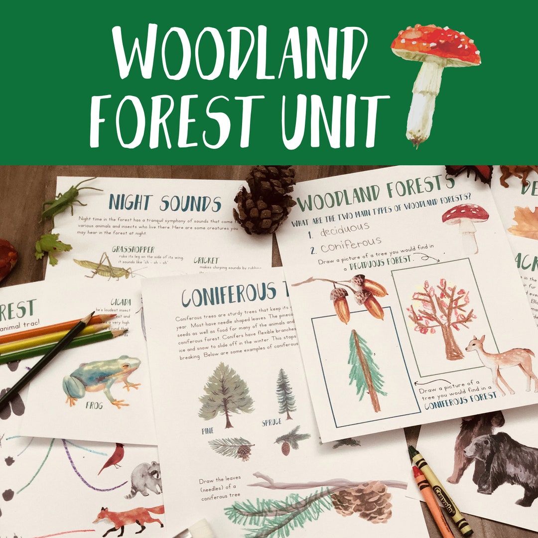 Woodland Forest Theme Unit Study Lesson Plans, Homeschool, Notebooking ...