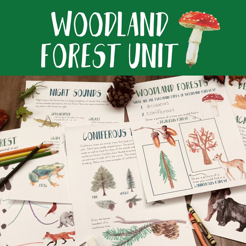 Woodland Forest Theme Unit Study Lesson Plans, Homeschool, Notebooking ...
