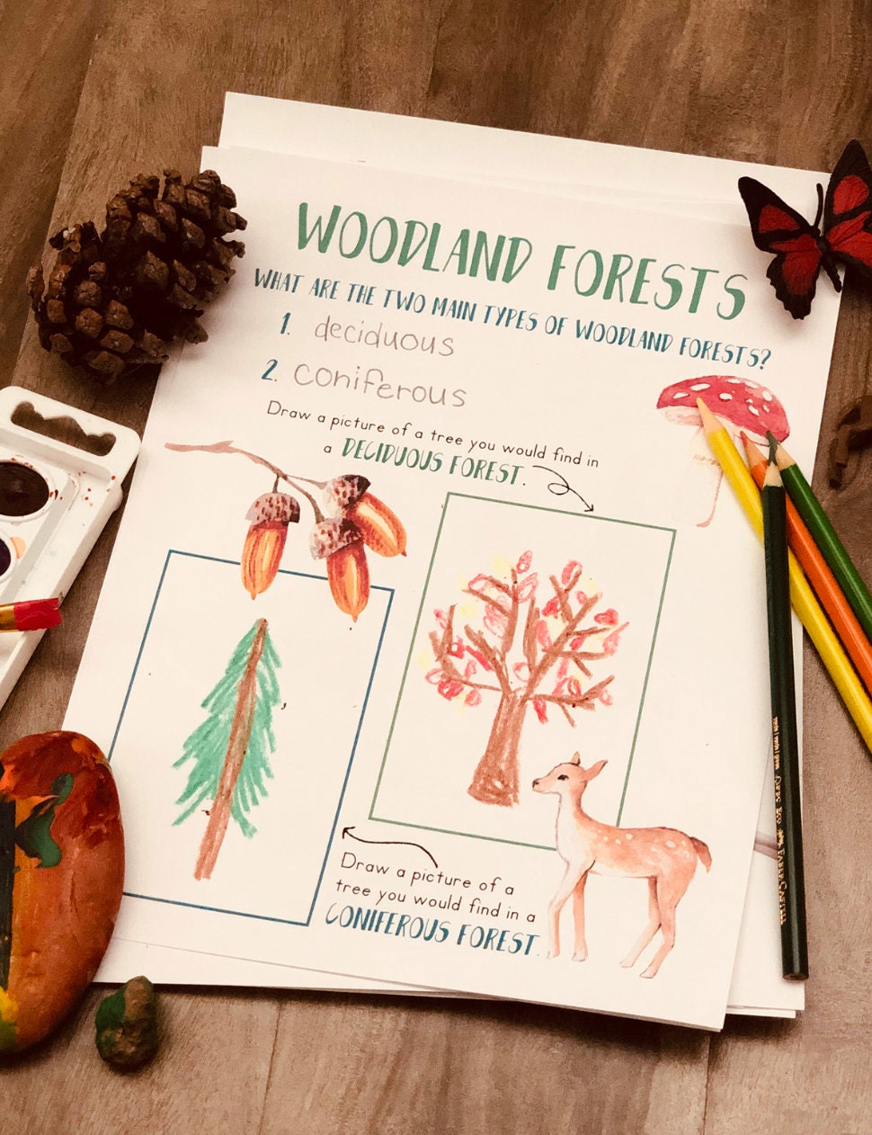 Woodland Forest Theme Unit Study Lesson Plans, Homeschool, Notebooking ...
