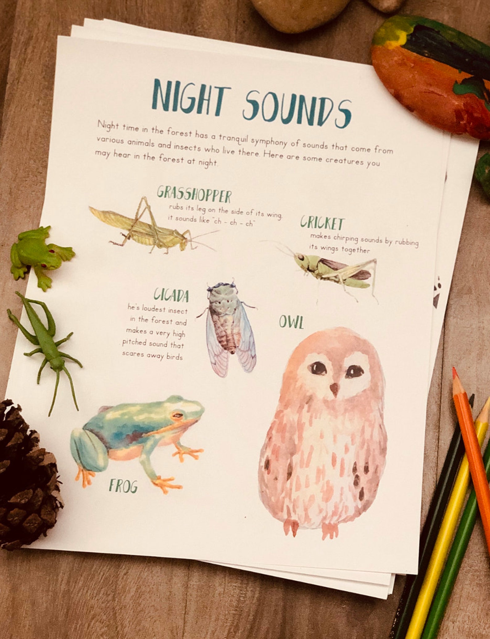 Woodland Forest Theme Unit Study Lesson Plans, Homeschool, Notebooking ...