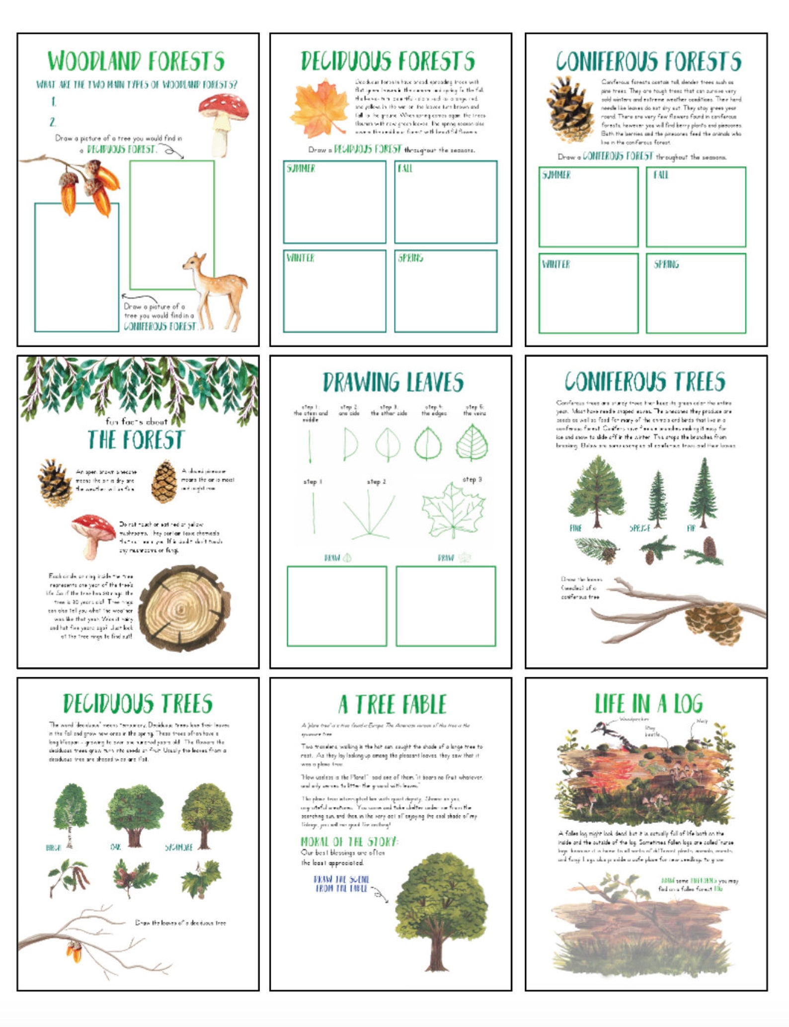 Woodland Forest Theme Unit Study Lesson Plans, Homeschool, Notebooking ...