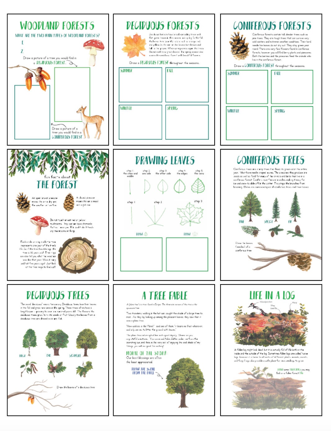 Woodland Forest Theme Unit Study Lesson Plans, Homeschool, Notebooking ...