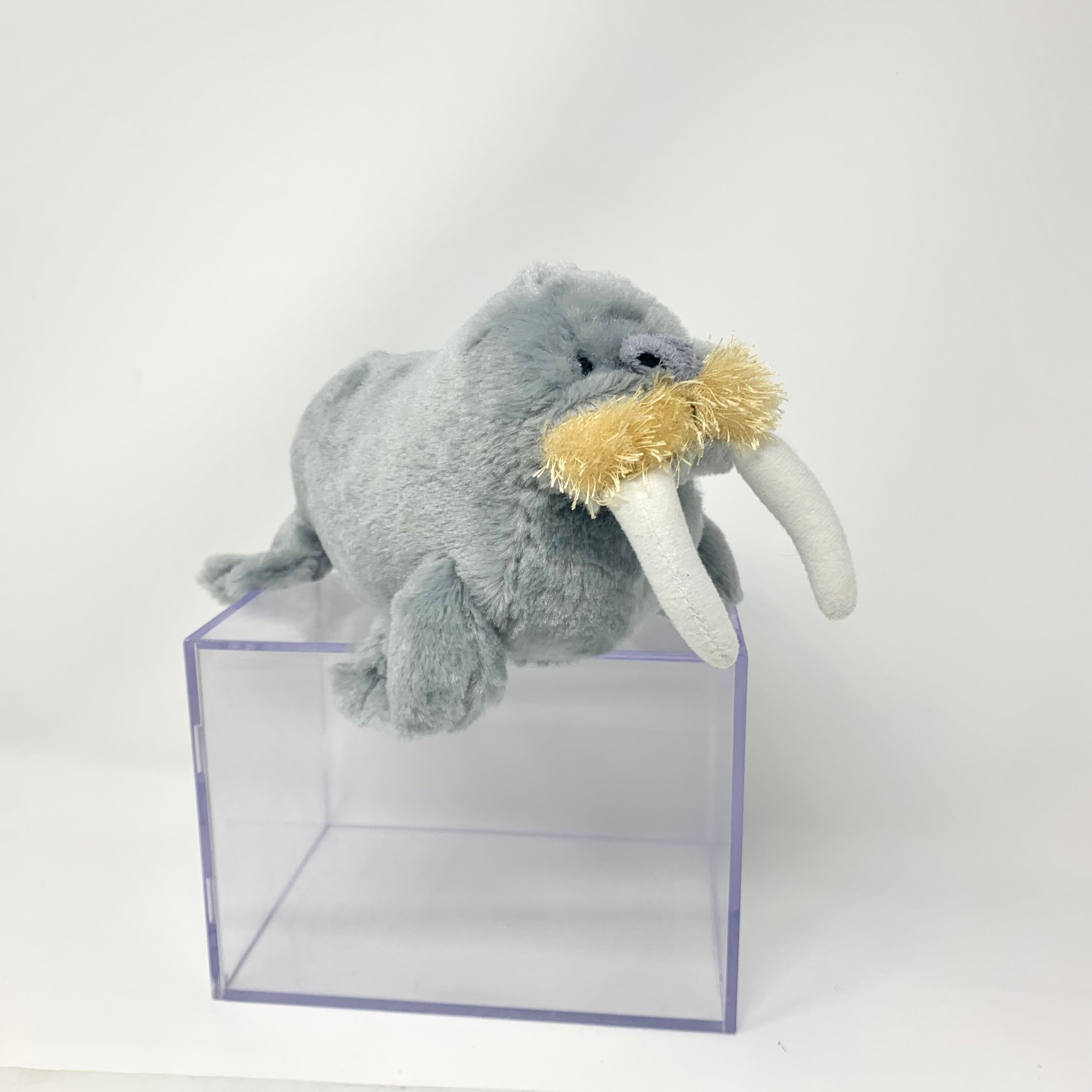 Fish & Aquatic Ganz Webkinz Walrus Plush Stuffed Animal no Code Toys ...