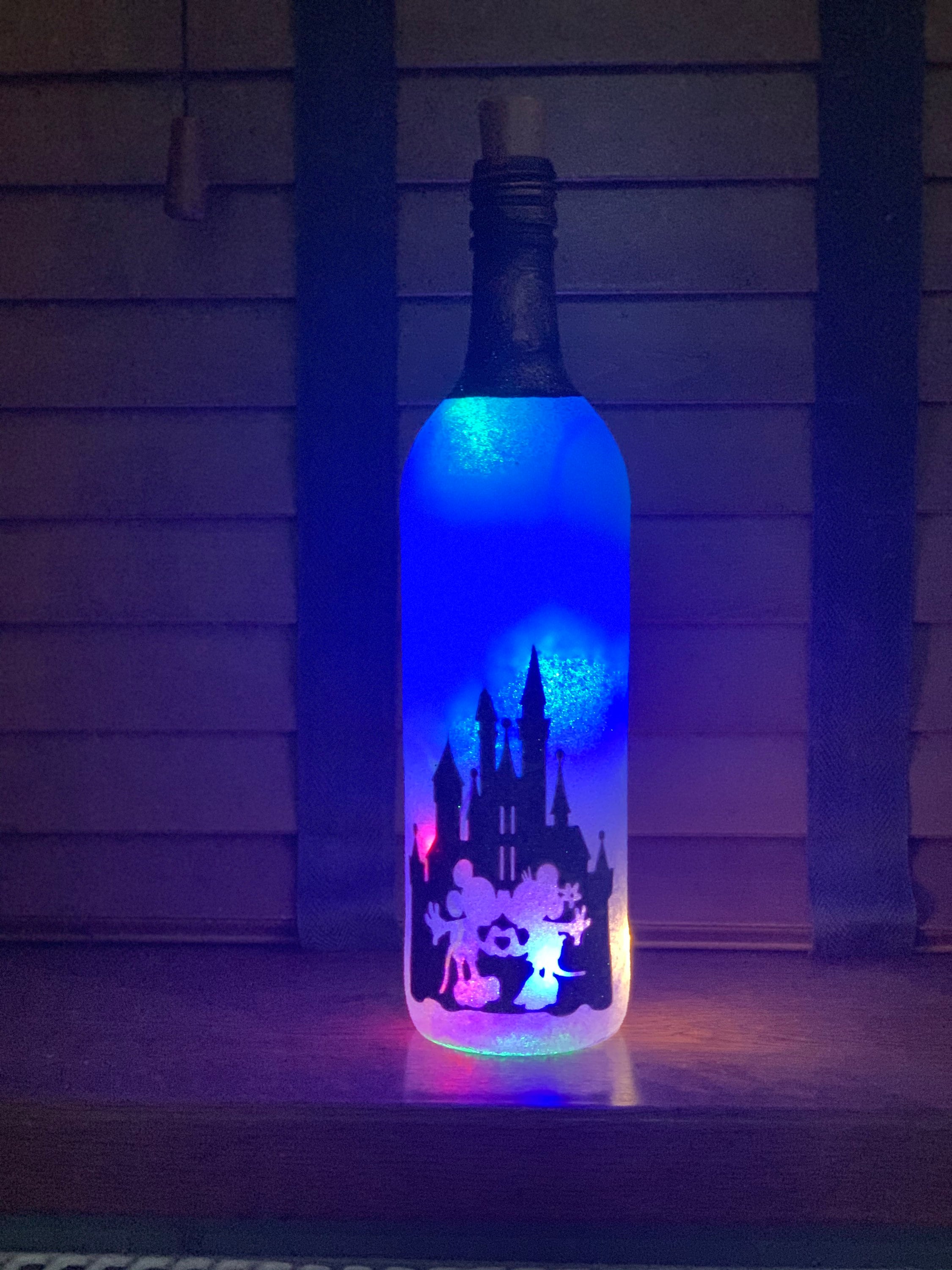 Disney Princess Inspired Lights - Etsy