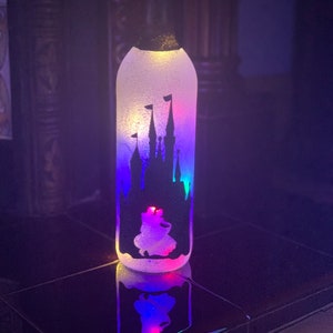 Disney Princess Inspired Lights - Etsy