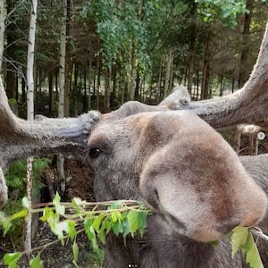 Scandinavian Teapot. Danish Modern Design. Rustic Stoneware. STOGO ...