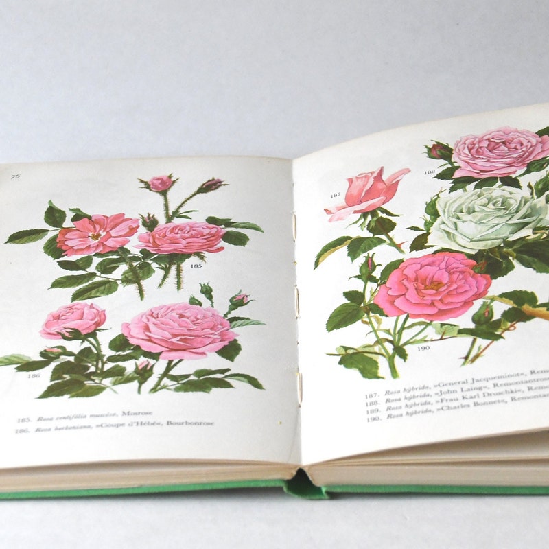 Vintage Flower Book - Etsy