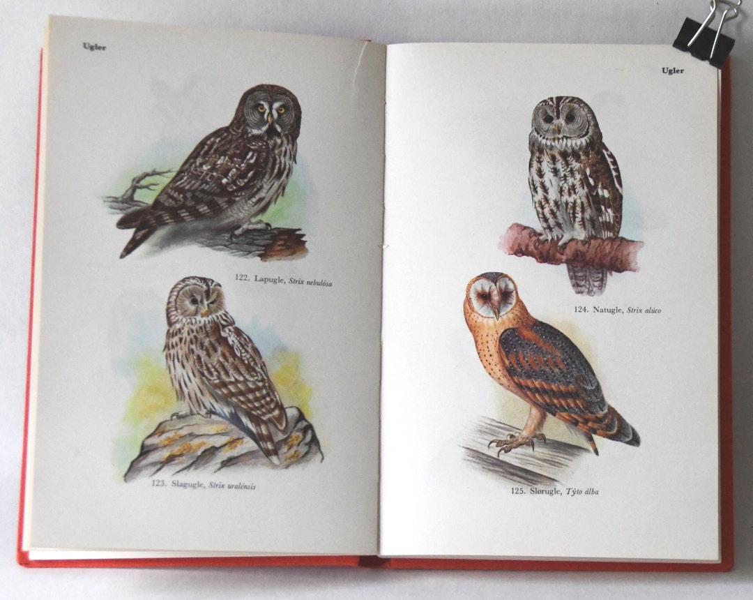 Vintage Bird Book 1960s Guide. Scandinavian Birds in the Wilde. Lovely ...