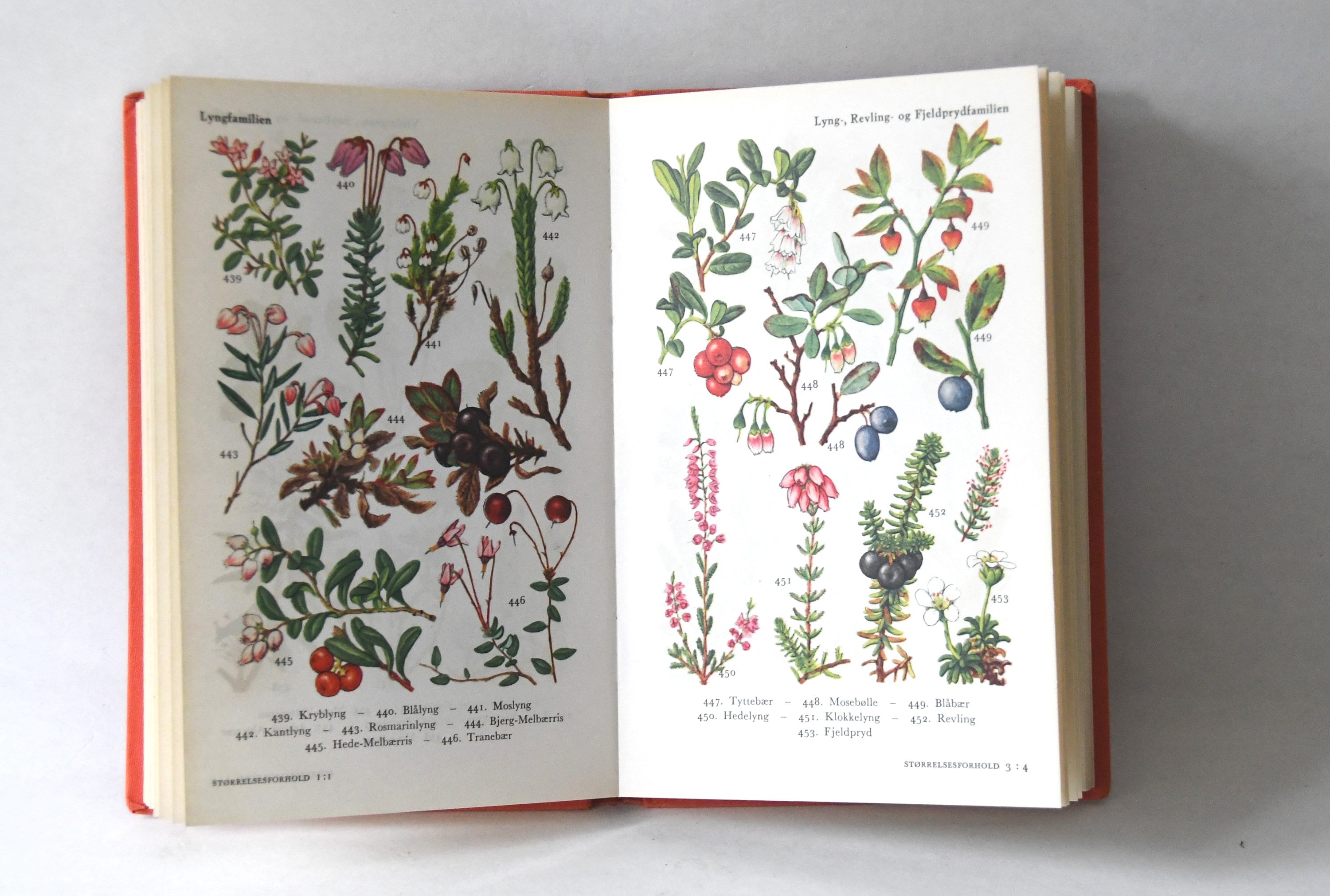 Vintage Flower Book 1960s Guide. Scandinavian Nature Book. Lovely Color ...