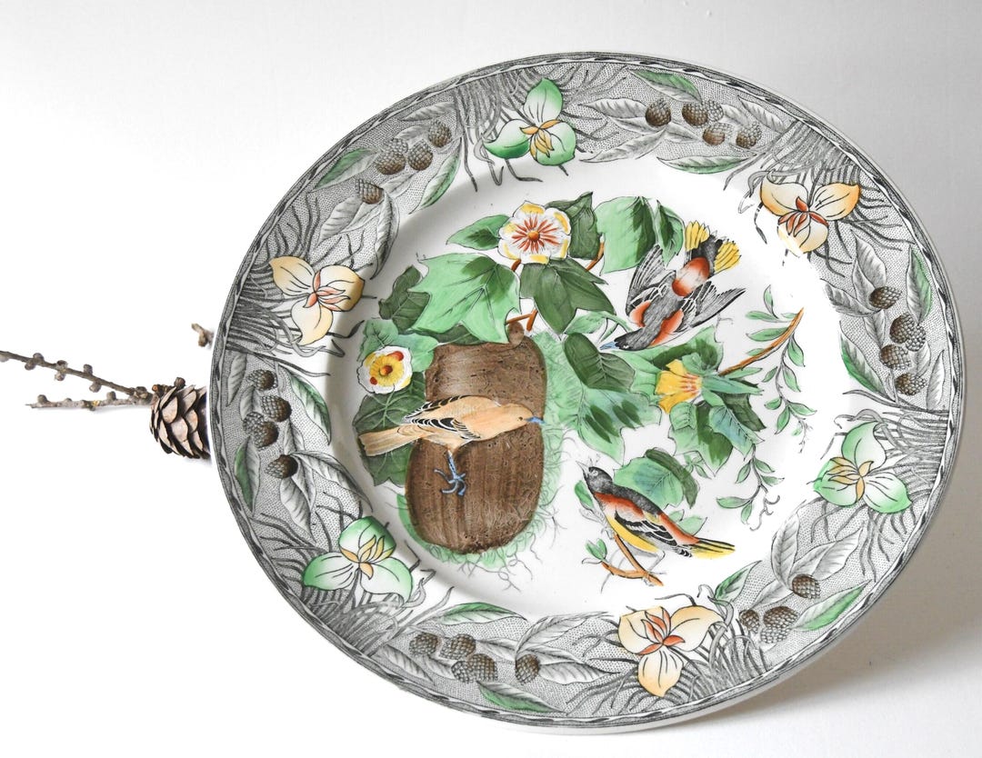 Adams Plate, Birds of America by John James Audubon. Antique Dinner ...