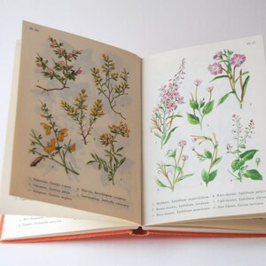 Vintage Flora Book With 120+ Color Illustrations, Flower Field Guide ...