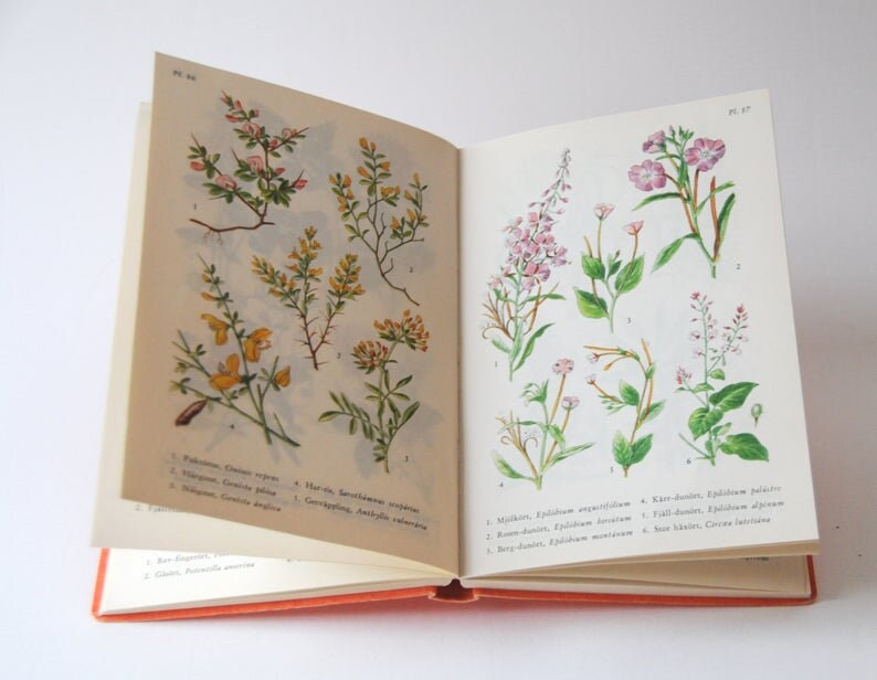 Vintage Flora Book With 120+ Color Illustrations, Flower Field Guide ...