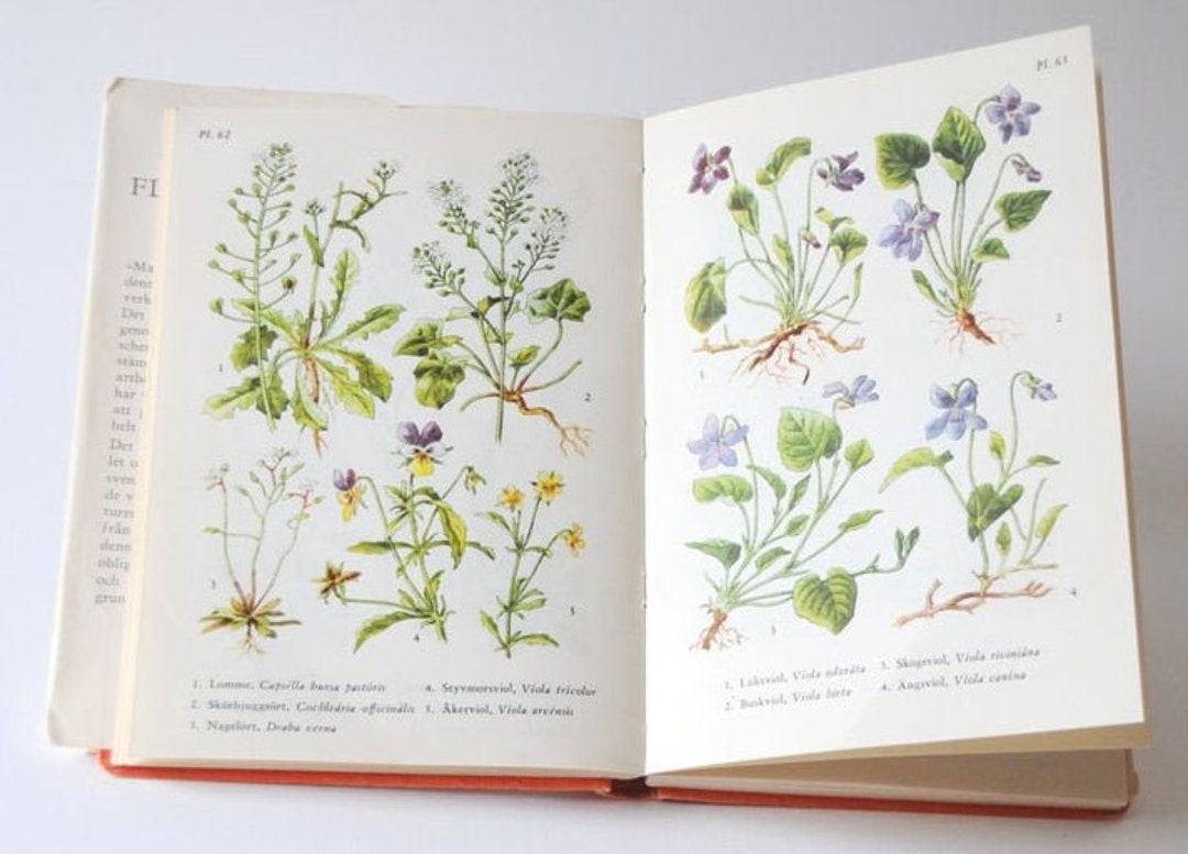 Vintage Flora Book With 120 Color Illustrations Flower Field - Etsy
