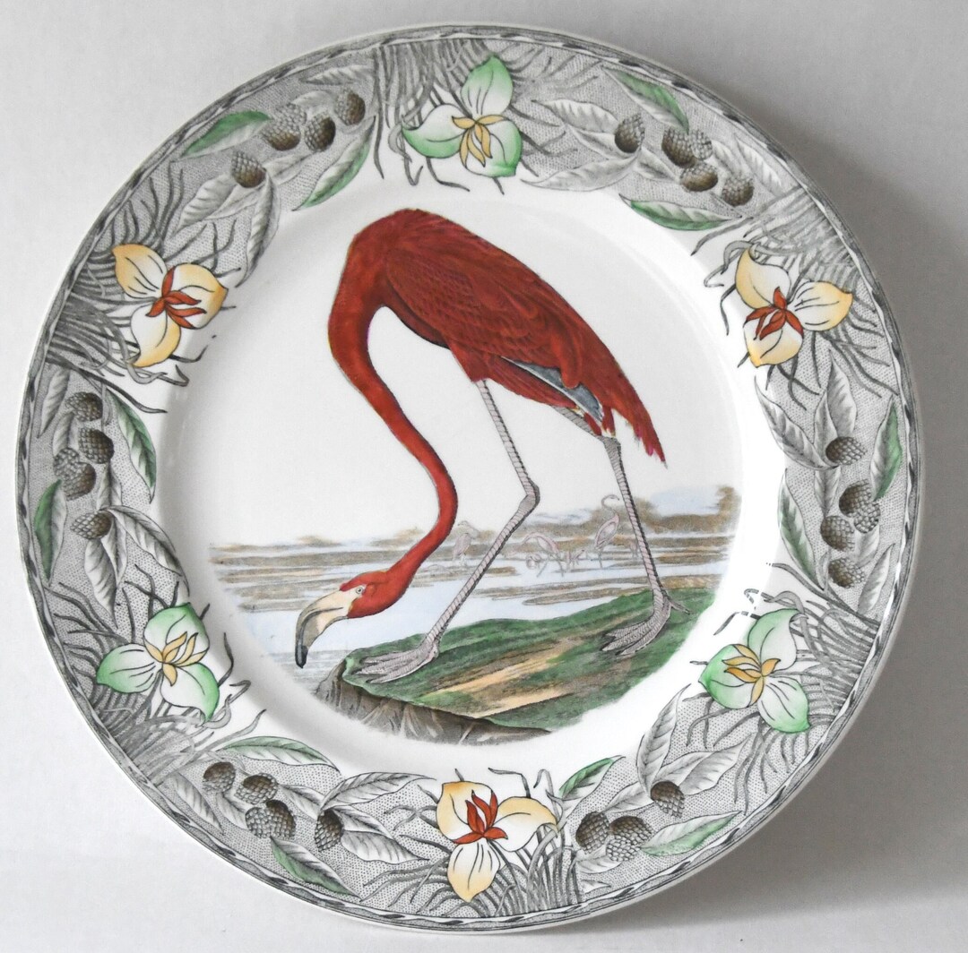 Adams Plate, Birds of America by John James Audubon. Antique Hunting ...