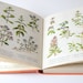 Vintage Flora Book With 120+ Color Illustrations, Flower Field Guide ...
