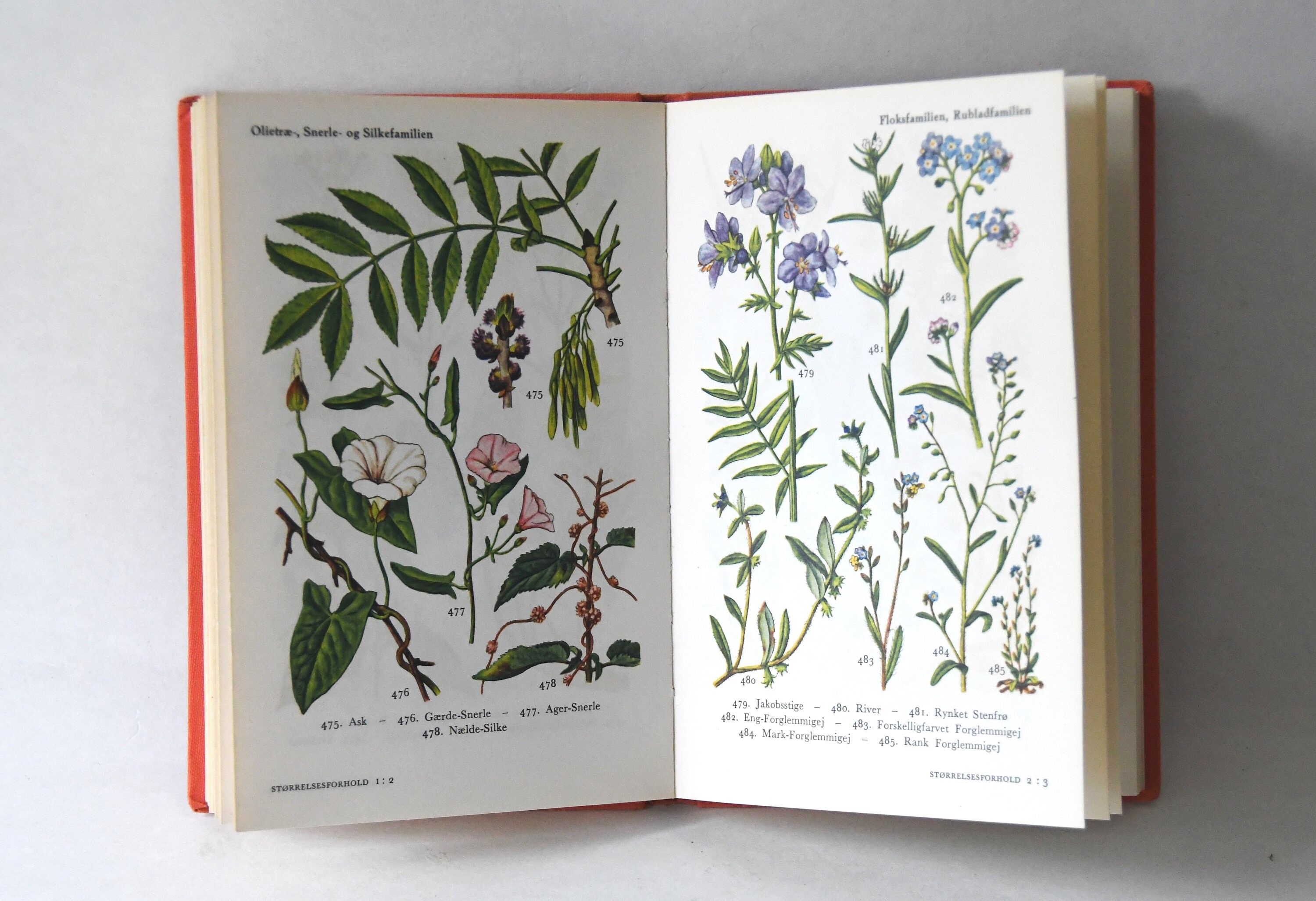 Vintage Flower Book 1960s Guide. Scandinavian Nature Book. Lovely Color ...