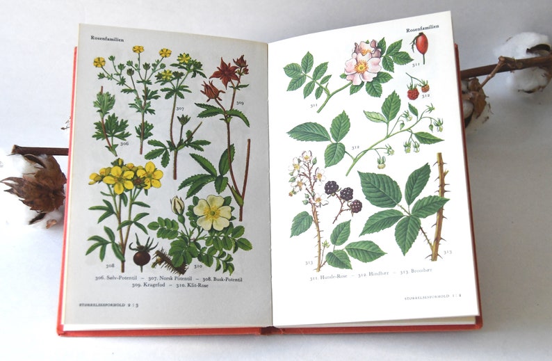 Guida ai fiori vintage degli anni '60, libro sulla natura scandinava ...