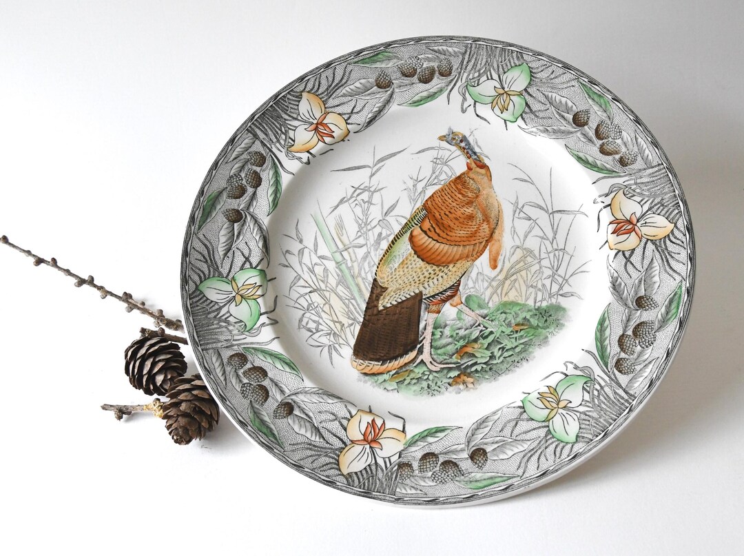 Adams Plate. Birds of America by John James Audubon. Antique Hunting ...