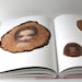 MARK RYDEN PINXIT Huge Pop Art Book by Mark Ryden. Color Illustrations ...