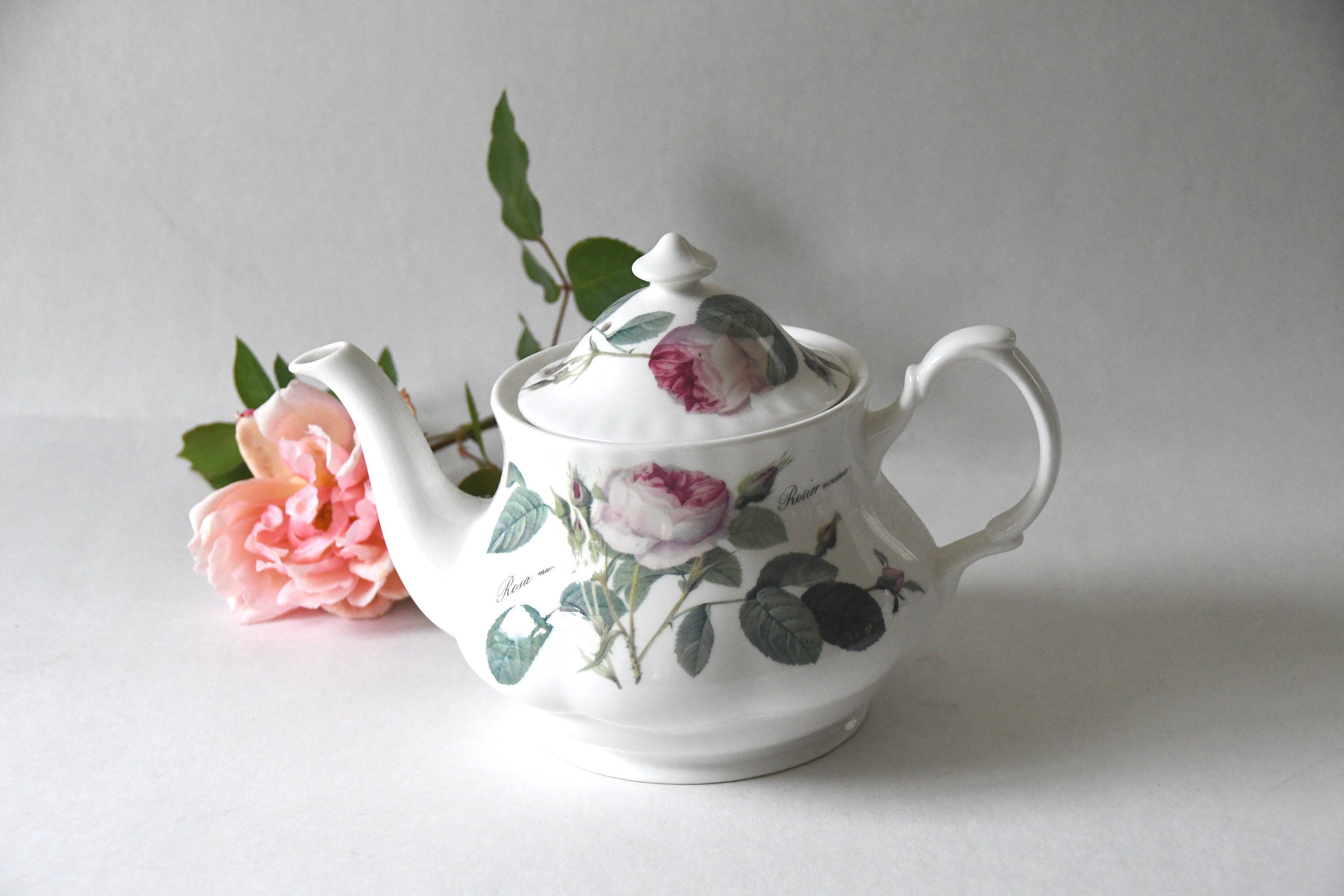Roy Kirkham REDOUTÉ ROSES Teapot. Rosa Muscosa - Etsy
