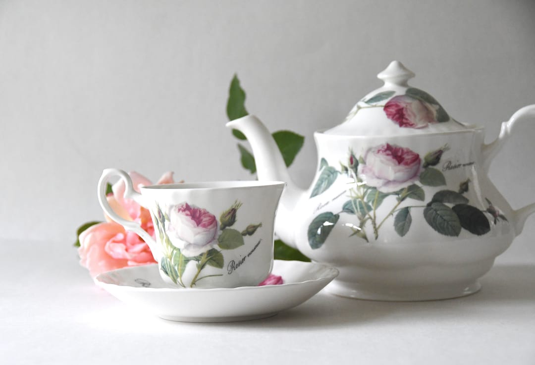 Roy Kirkham REDOUTÉ ROSES Teacup. Rosa Muscosa Large Cup With Scalloped ...