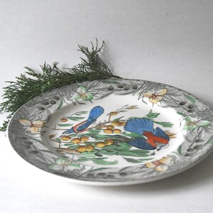 Birds of America by John James Audubon, Antique Adams Dinner Plate 1940 ...