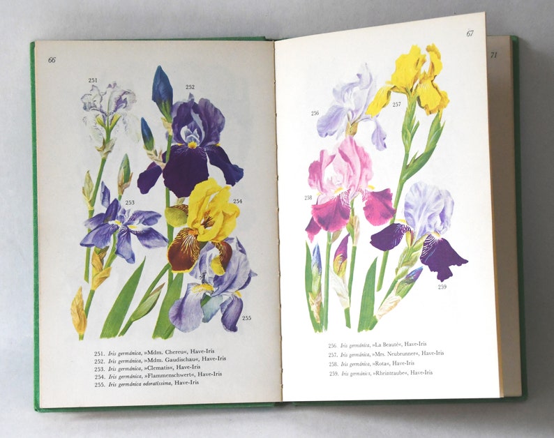 Vintage Scandinavian Flower Book: 1960s Garden Guide - Etsy Canada