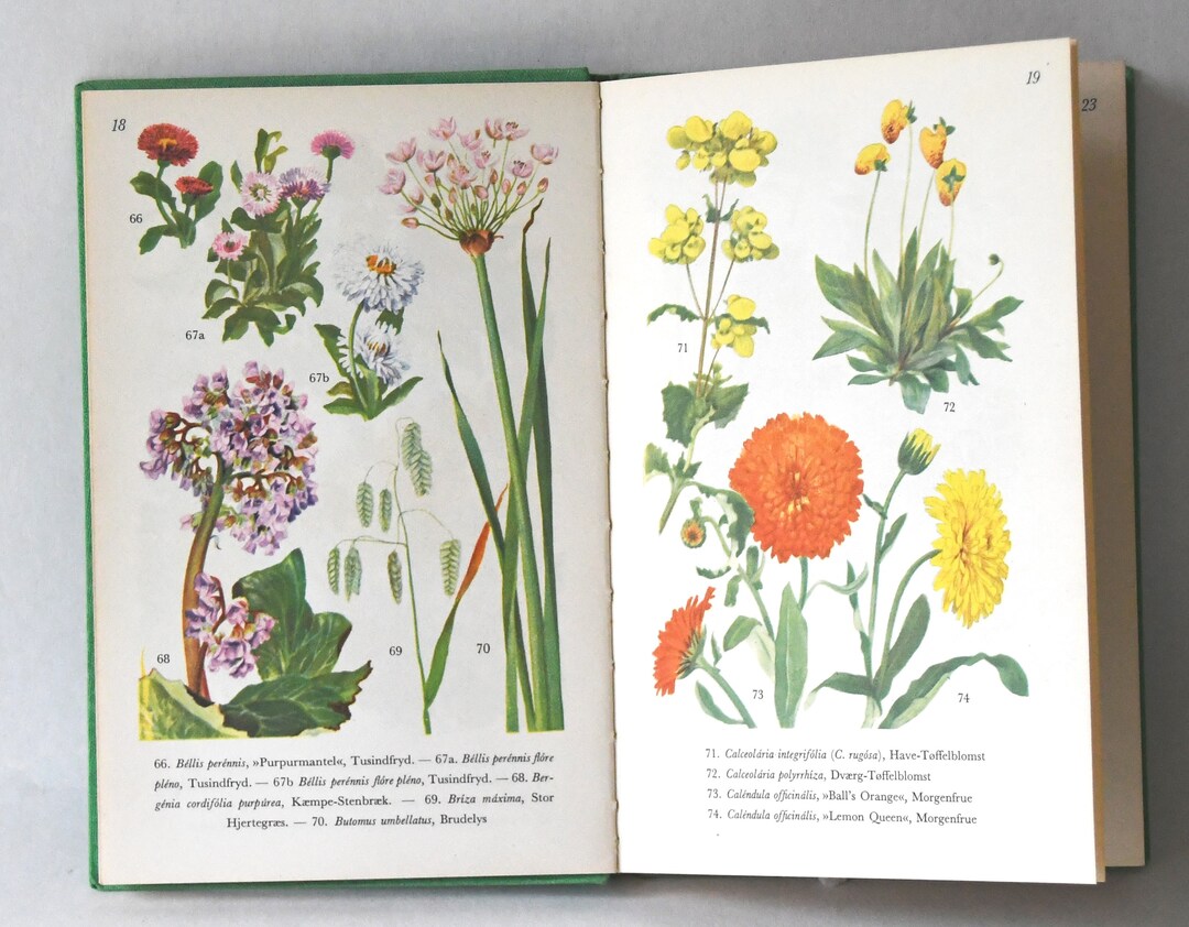 Flower Book 1960s Guide. Scandinavian Nature. Lovely Color ...