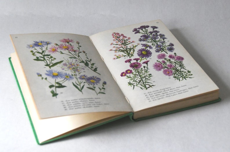 Vintage Scandinavian Flower Book: 1960s Garden Guide - Etsy Canada