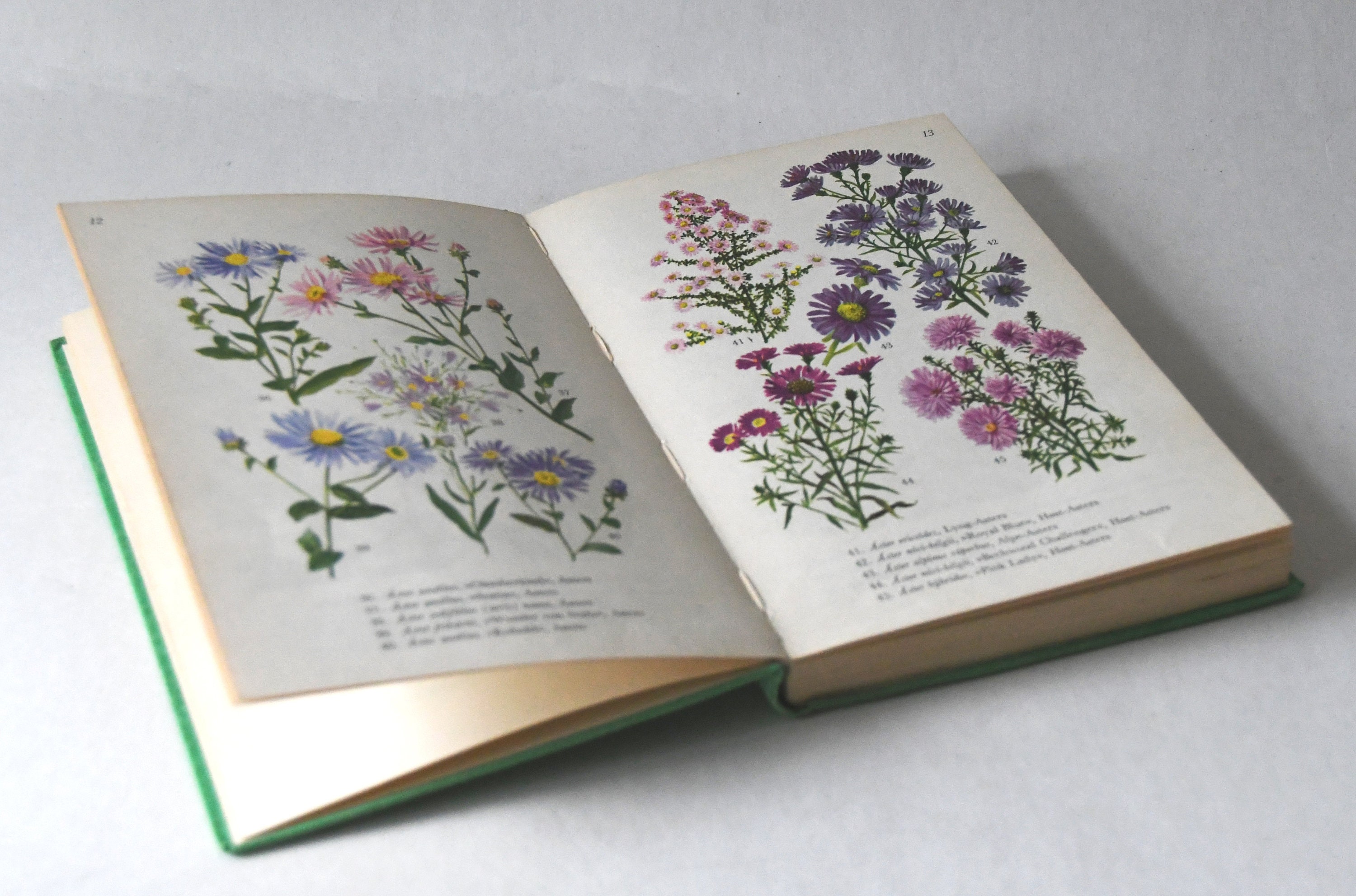 Flower Book 1960s Guide. Scandinavian Nature. Lovely Color ...