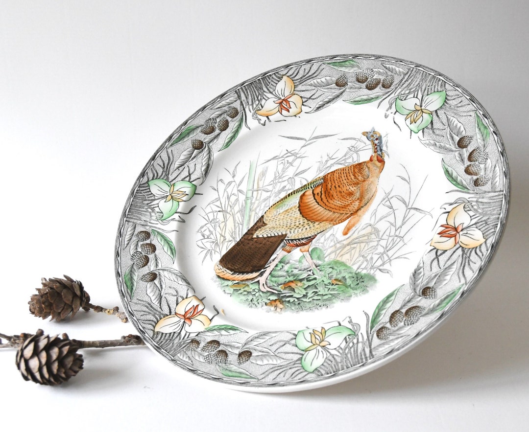 Adams Plate. Birds of America by John James Audubon. Antique Hunting ...