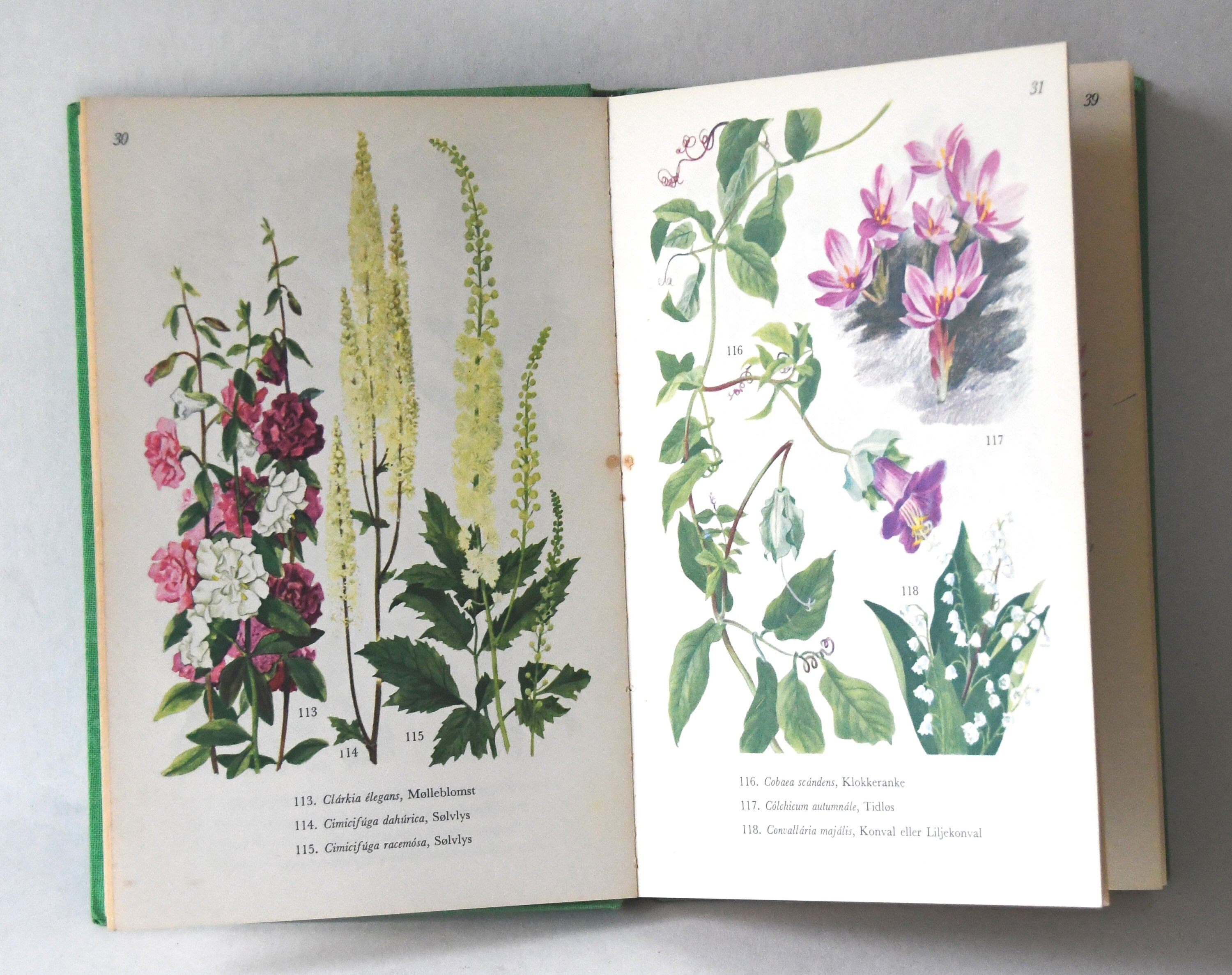 Flower Book 1960s Guide. Scandinavian Nature. Lovely Color ...