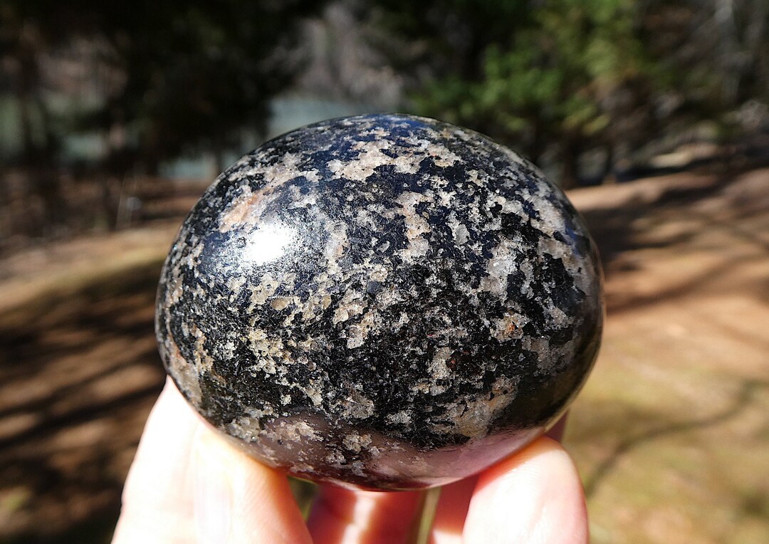 Graphic Black Tourmaline Palm Stone, Polished Tourmaline in Quartz ...