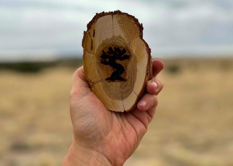 Escultura de madera de enebro – Forma de arte del desierto con bordes ...